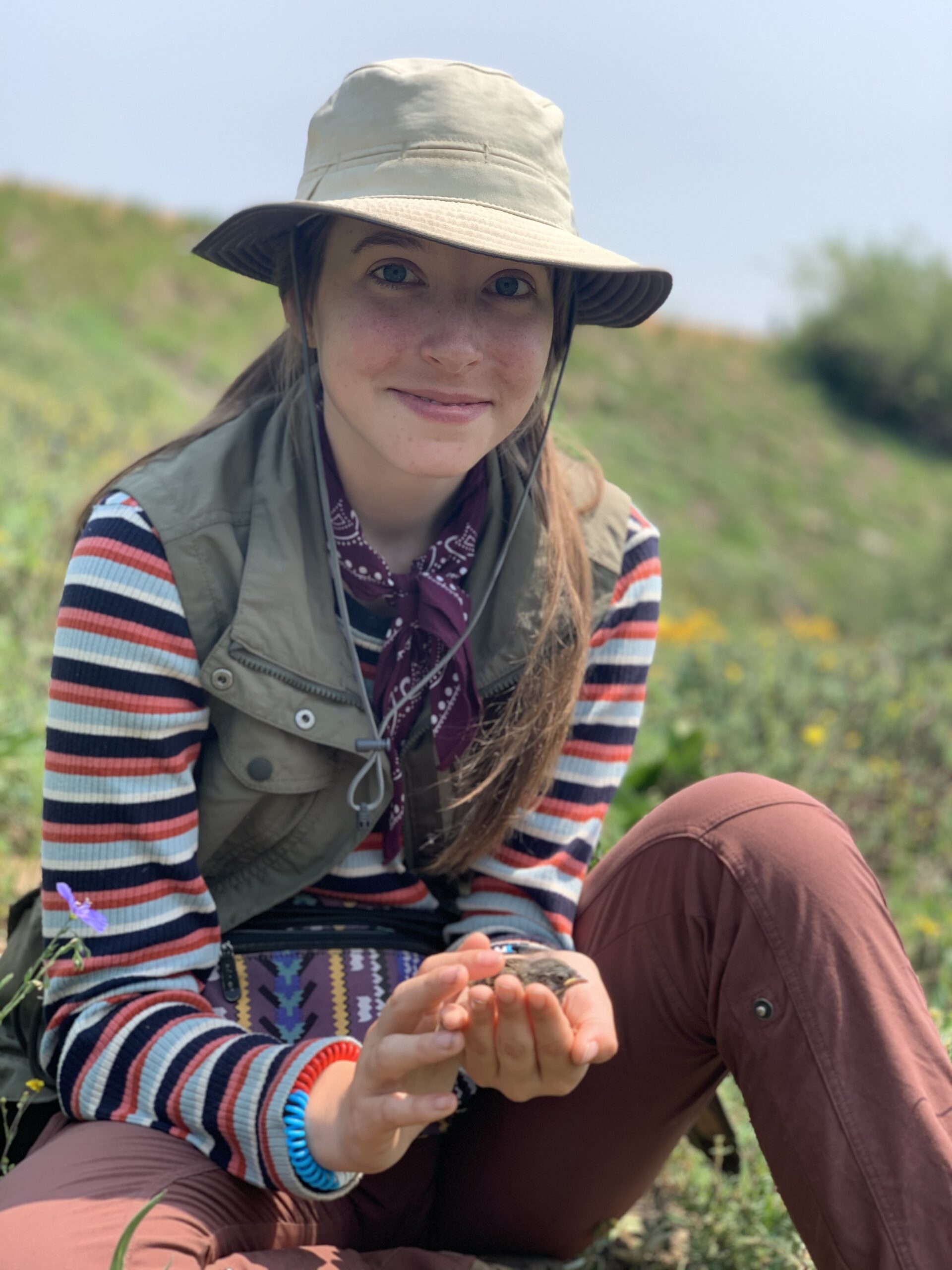 Teen Science Cafe | Decoding the Structure of Birdsong - Morehead ...